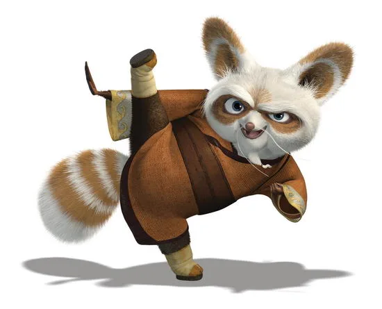 Shifu Kung Fu Panda